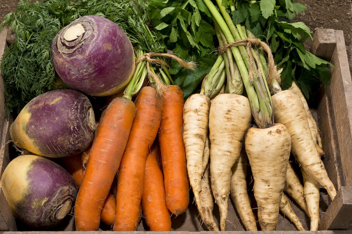 Our Farm | Mash Direct