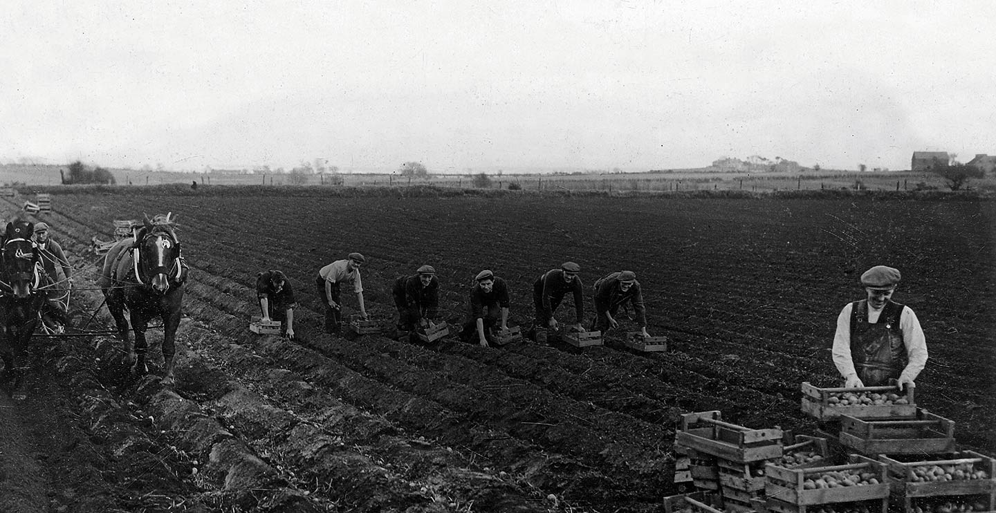 6 Generations of farming – Old photograph of family potato farming in ...