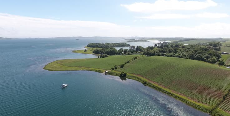 Our Farm | Mash Direct