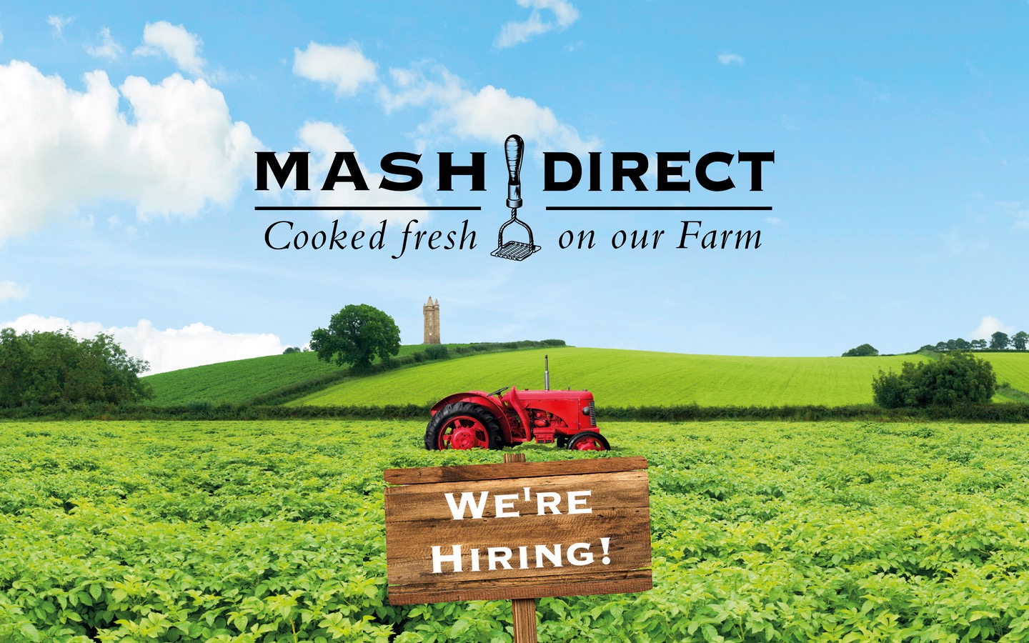 Website – Hiring | Mash Direct