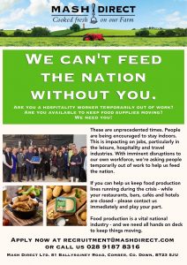 Careers |Mash Direct