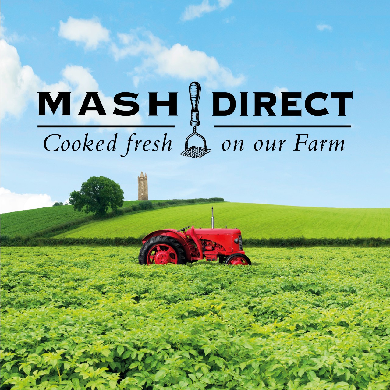 Mash Direct at Tesco Newtownards Opening | Mash Direct